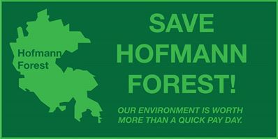 Save North Carolina’s Hofmann Forest | Dogwood Alliance