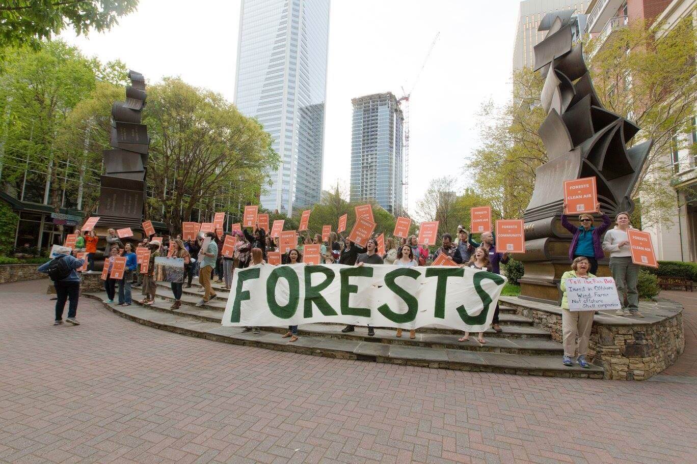EU Bioenergy Policy Fails but Sparks Global Movement for Forest ...