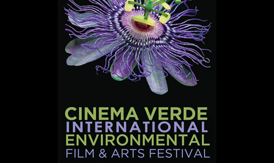 Index of /wp-content/uploads/2021/02