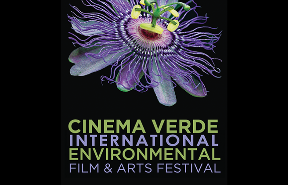 Index of /wp-content/uploads/2021/02